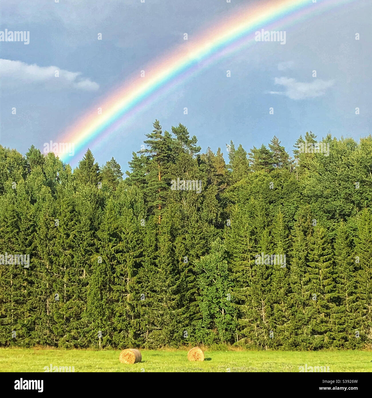 Rainbow and forest, Västmanland, Sweden Stock Photo - Alamy