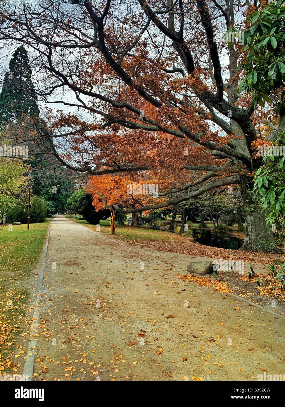 Queenstown gardens hi-res stock photography and images - Alamy