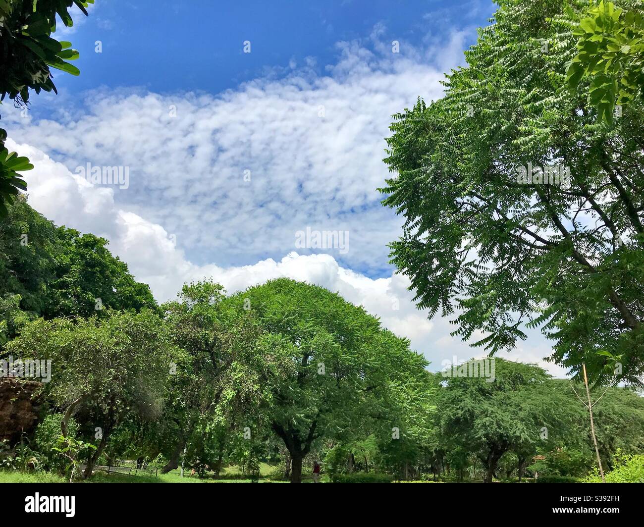 Parks and nature hi-res stock photography and images - Alamy