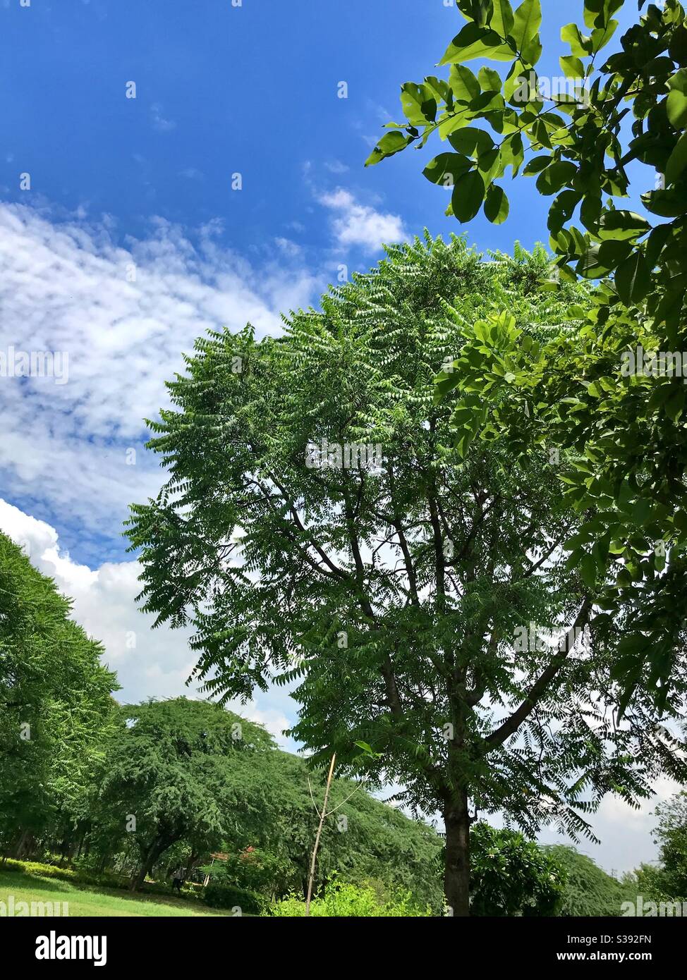 Parks and nature hi-res stock photography and images - Alamy