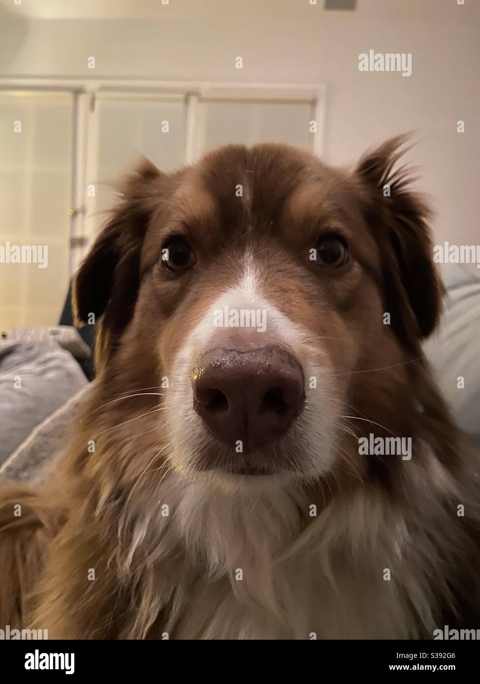 Caught off guard hi-res stock photography and images - Alamy