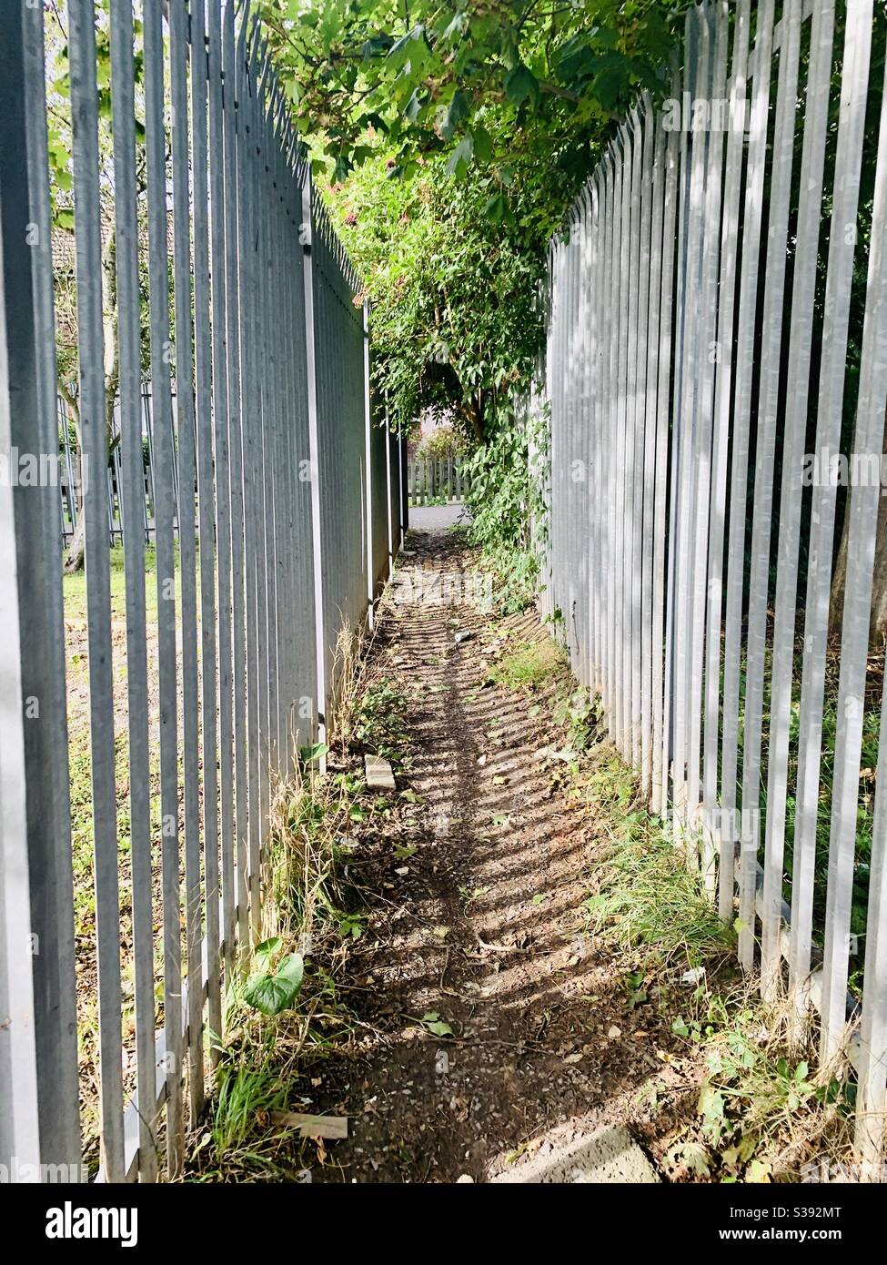 Fence Pathway High Resolution Stock Photography and Images - Alamy