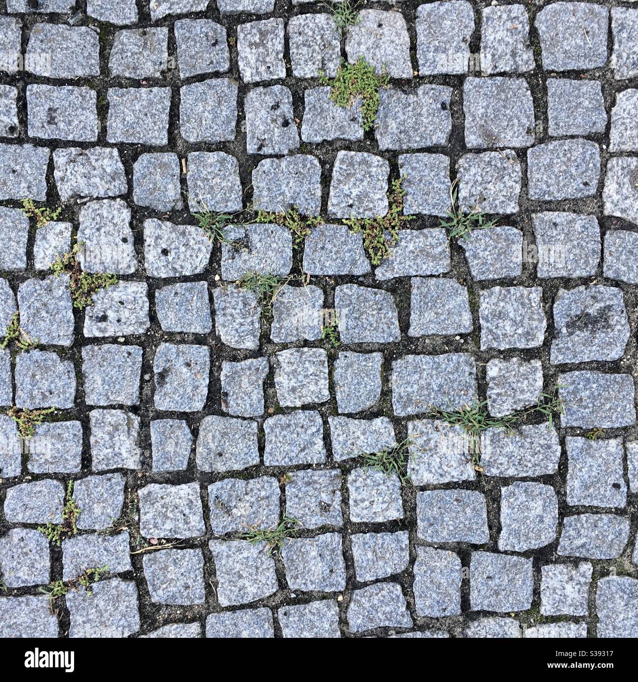 Grey cobblestones hi-res stock photography and images - Alamy