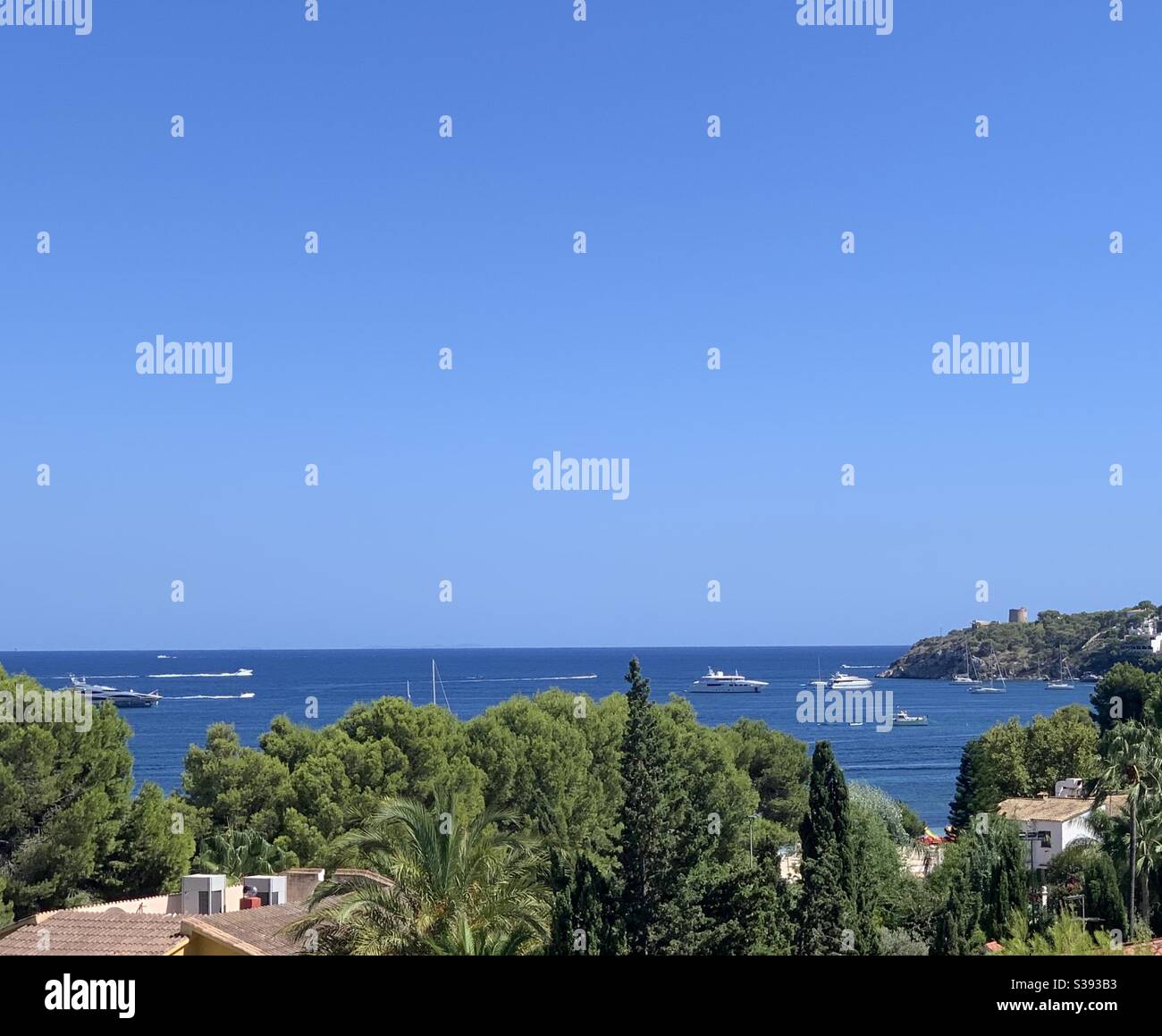 Palma nova hi-res stock photography and images - Alamy