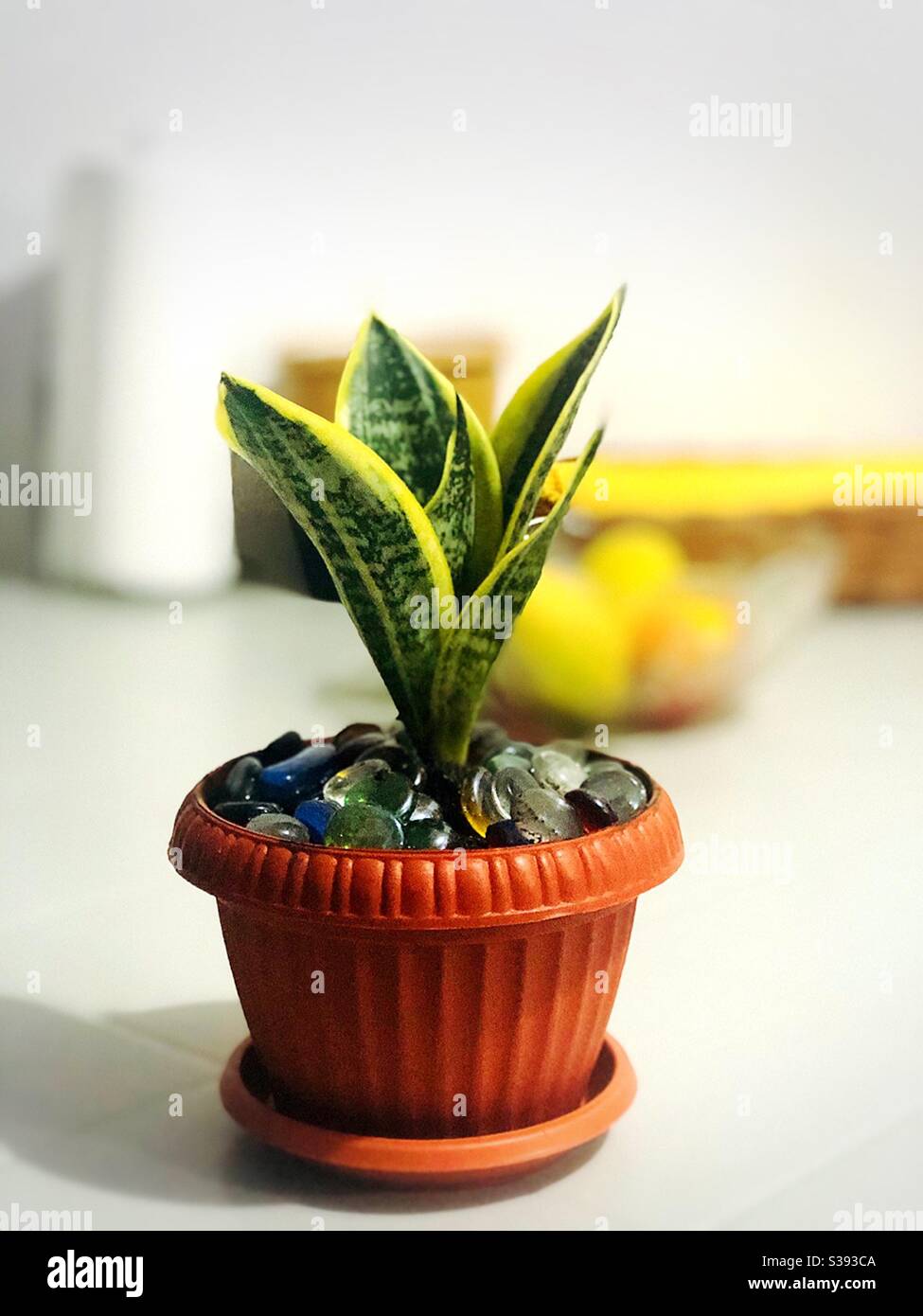 Things loads hi-res stock photography and images - Alamy