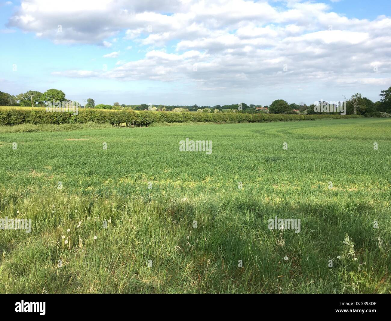 Endless sky hi-res stock photography and images - Alamy
