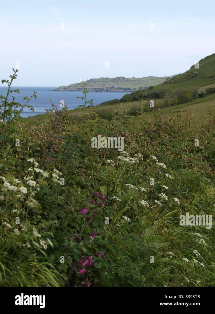 Devonshire coast hi-res stock photography and images - Alamy