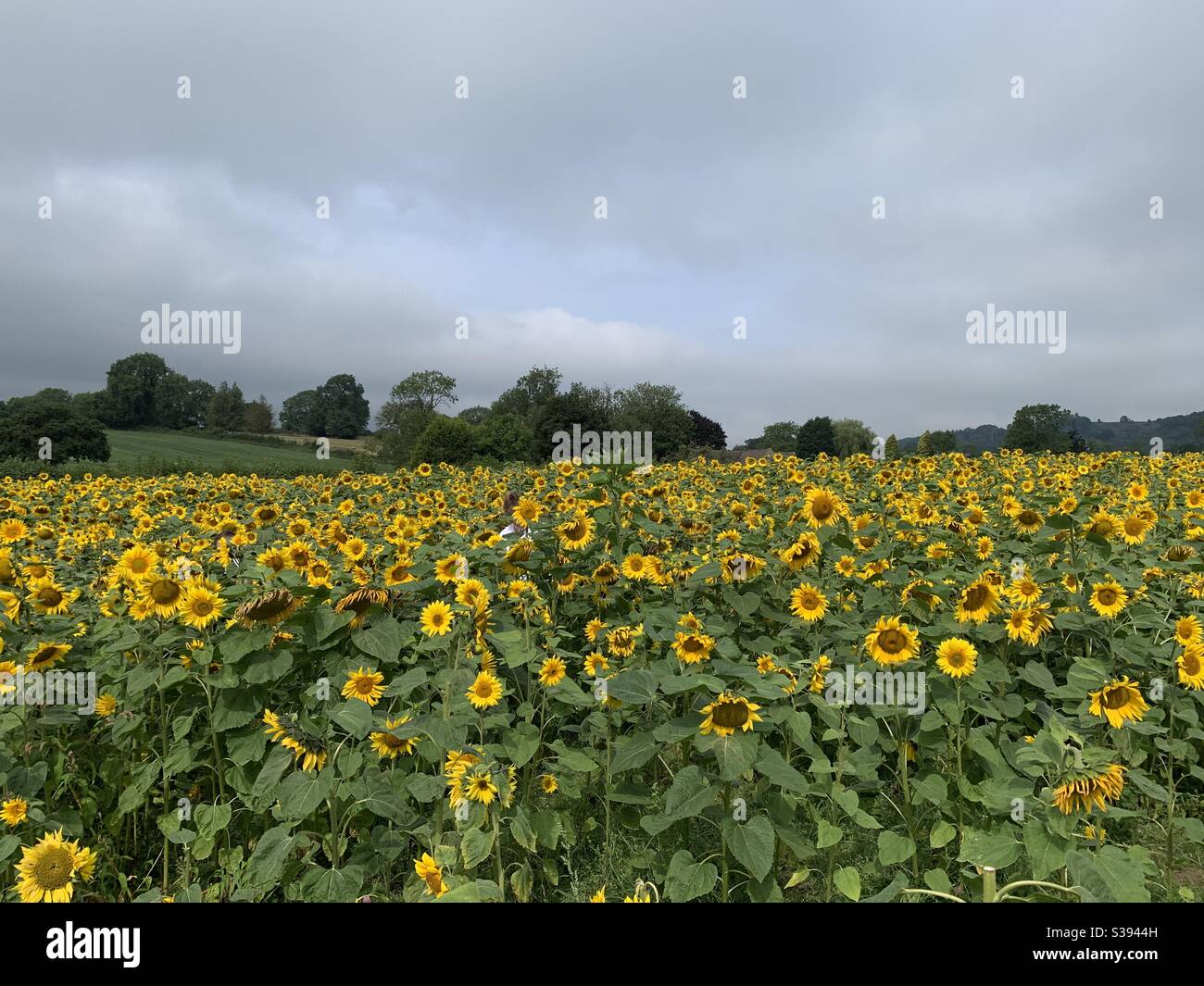 Ashover hi-res stock photography and images - Alamy