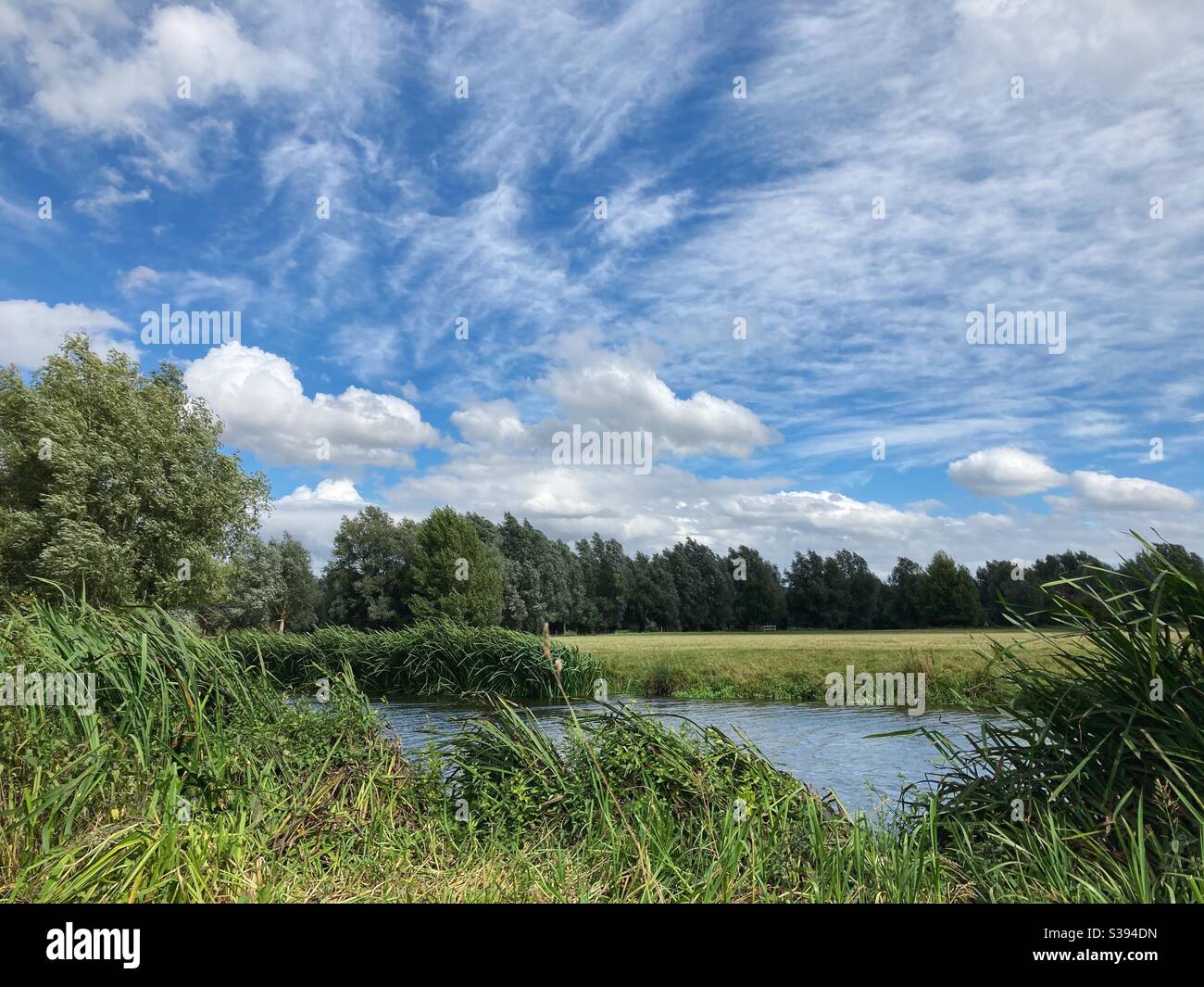 View of the river in the Stour Valley Stock Photo - Alamy