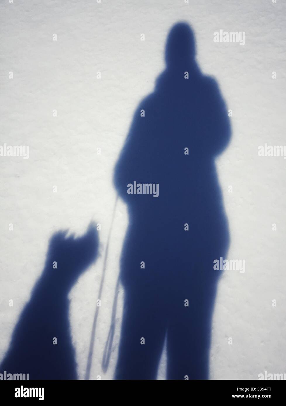 Dog shadows hi-res stock photography and images - Alamy