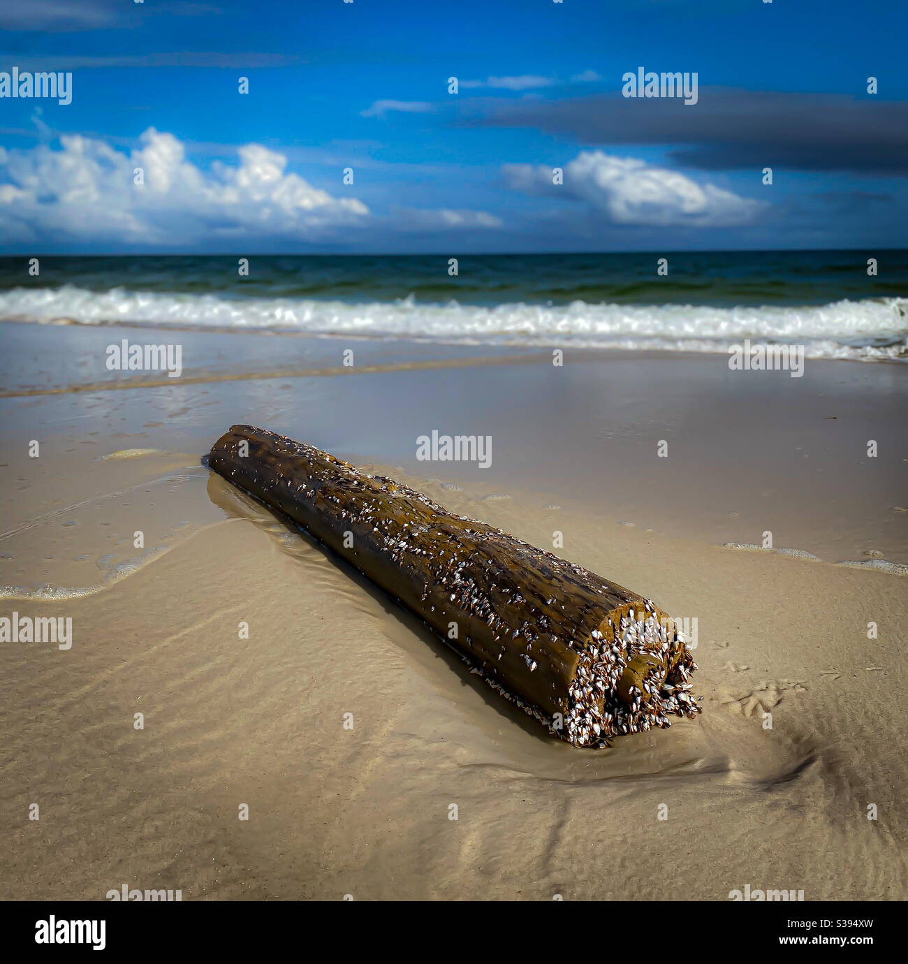 Ocean with log hi-res stock photography and images - Alamy