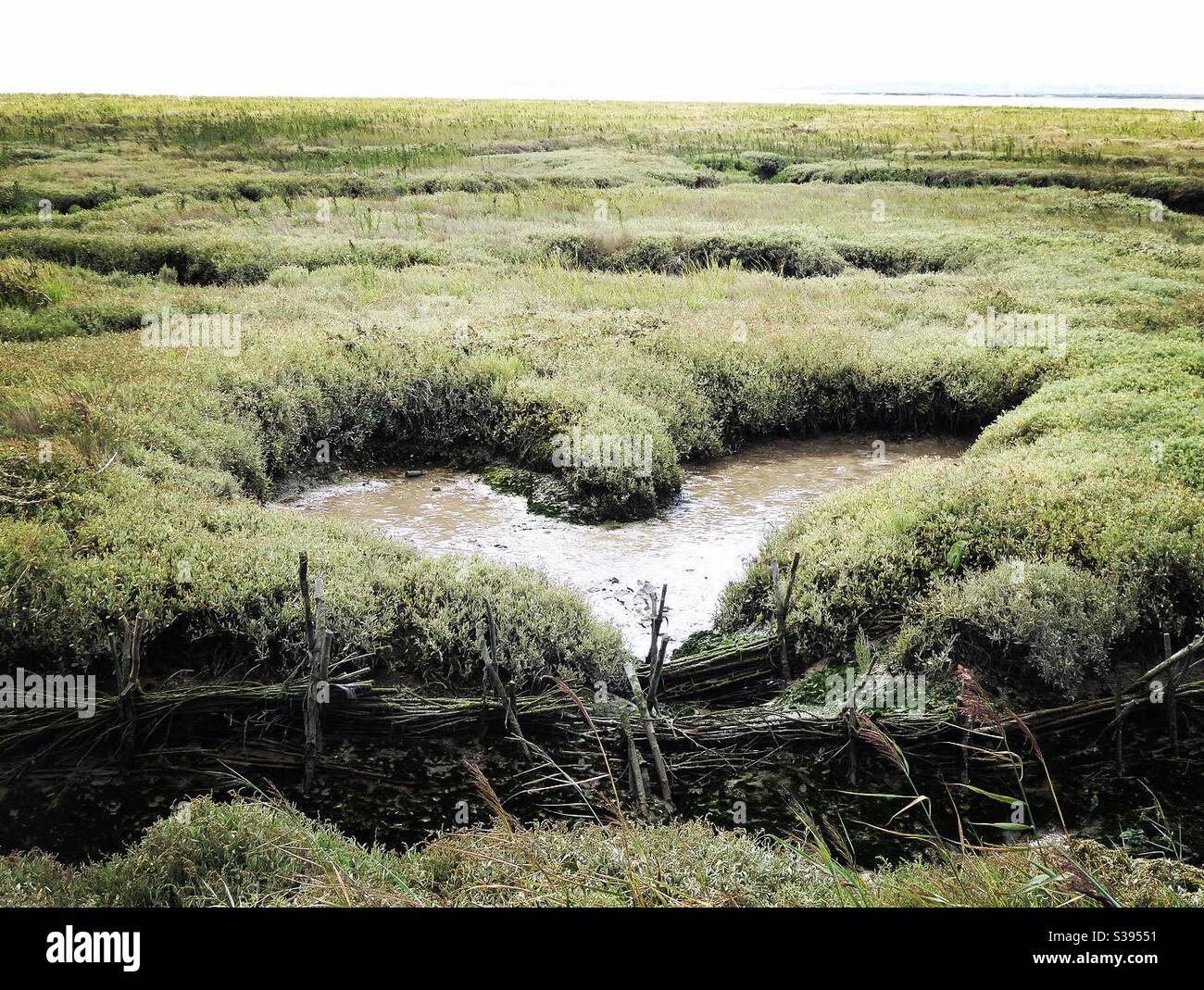 Two Tree Love Island Stock Photo - Alamy