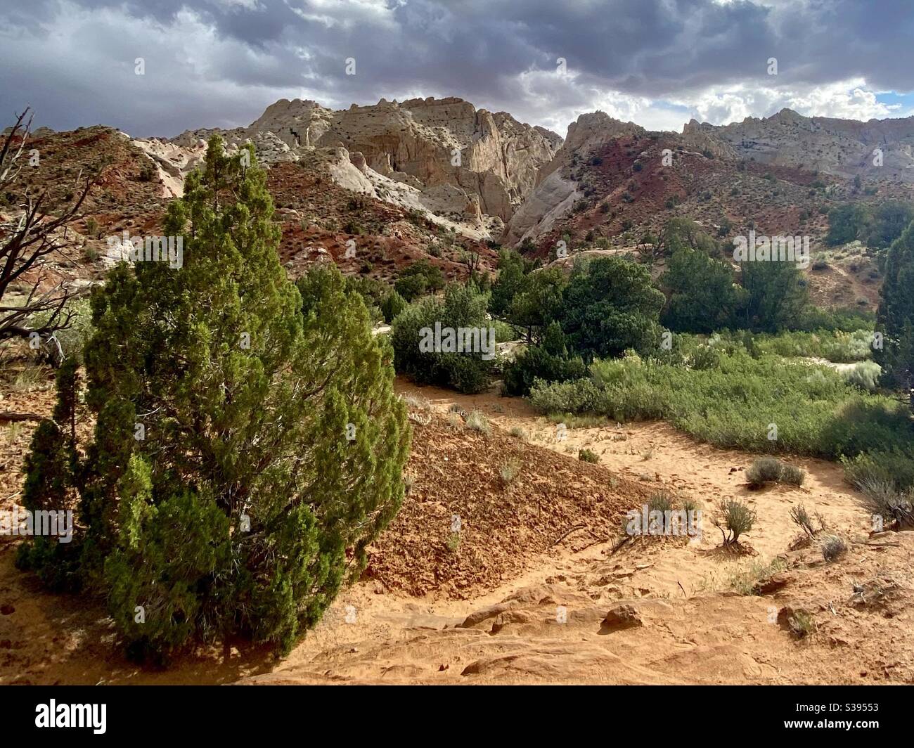 Capital of desert hi-res stock photography and images - Alamy