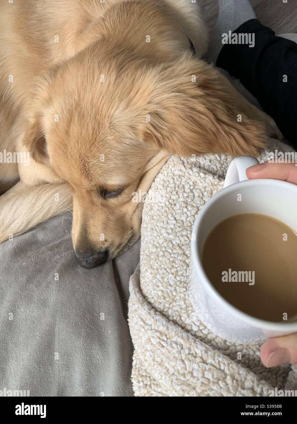 Comfort love hi-res stock photography and images - Alamy