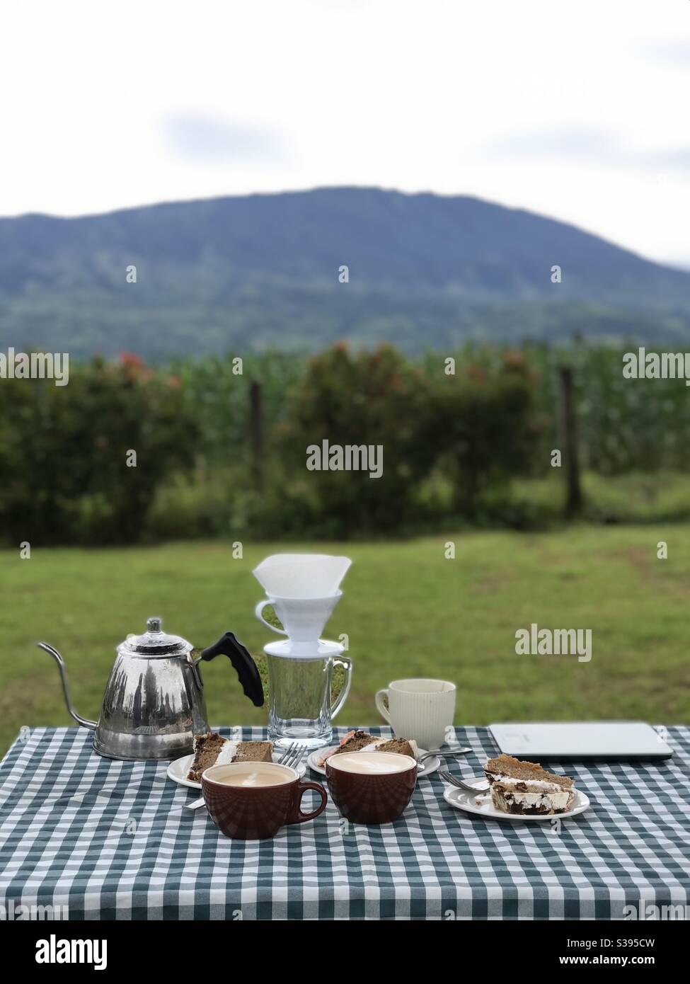 Mornings with nature hi-res stock photography and images - Alamy