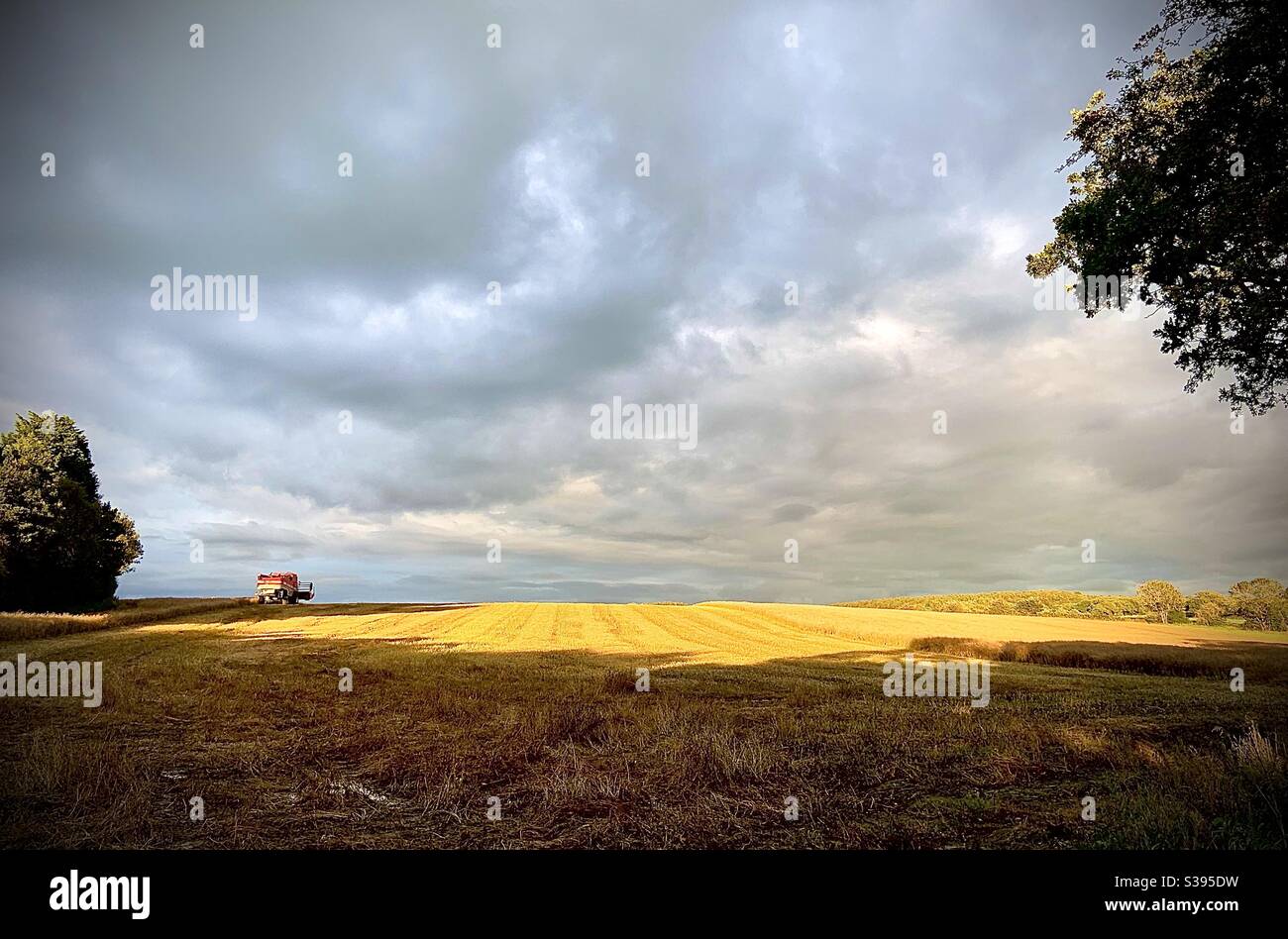 Grey harvest hi-res stock photography and images - Alamy