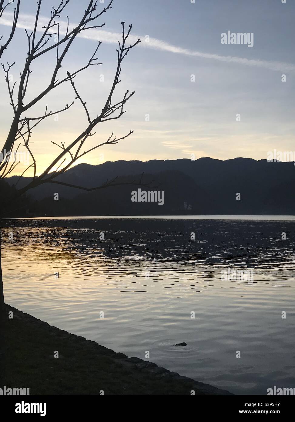 Lake Bled, Slovenia. December 2019 Stock Photo - Alamy