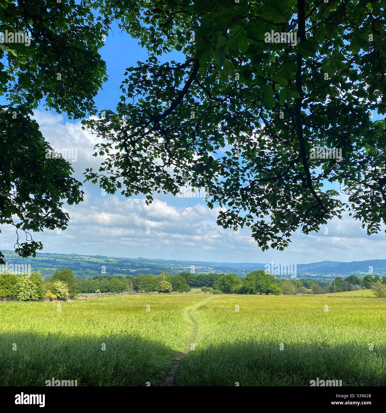 Follow which path hi-res stock photography and images - Alamy