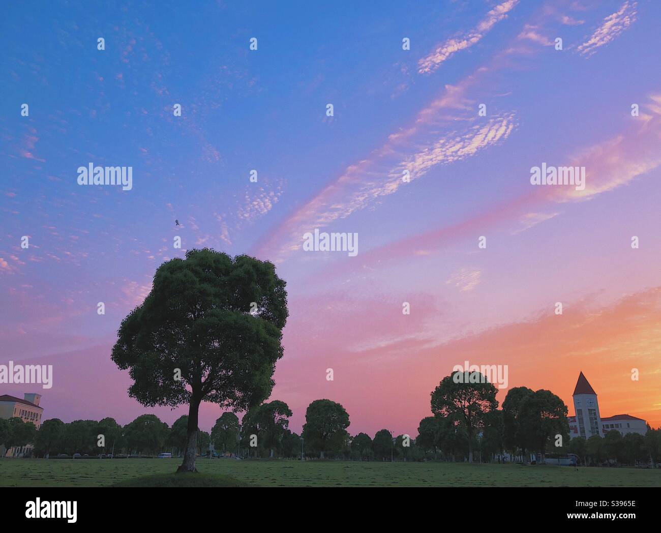 Stripes cloud hi-res stock photography and images - Alamy