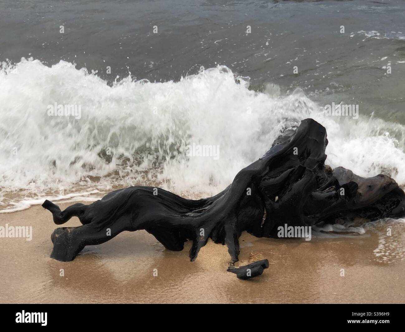 Breaking log hi-res stock photography and images - Alamy