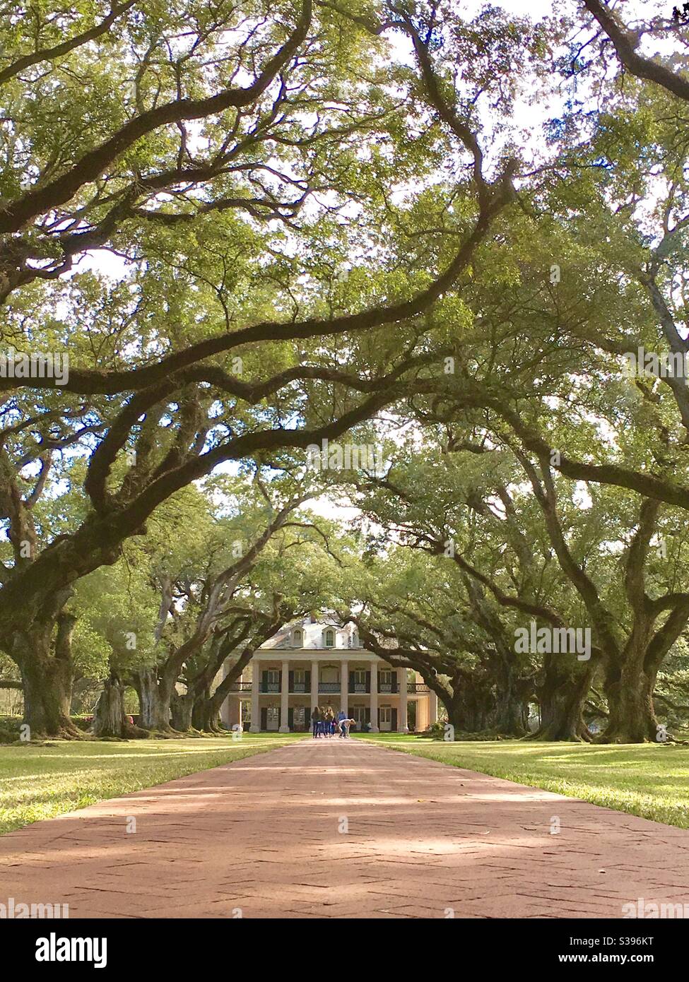 Plantation mansion oak tree hi-res stock photography and images - Alamy