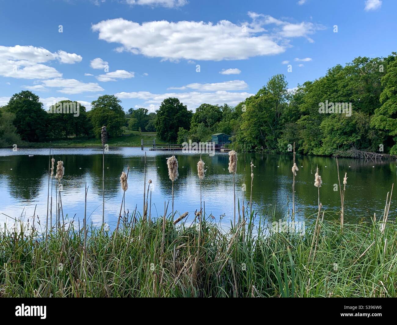 Hampstead pond men's hi-res stock photography and images - Alamy