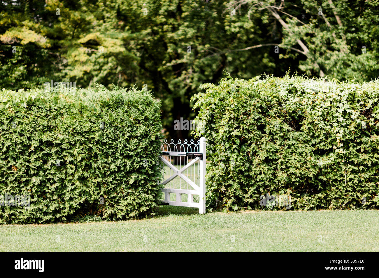 Calming greenery hi-res stock photography and images - Alamy