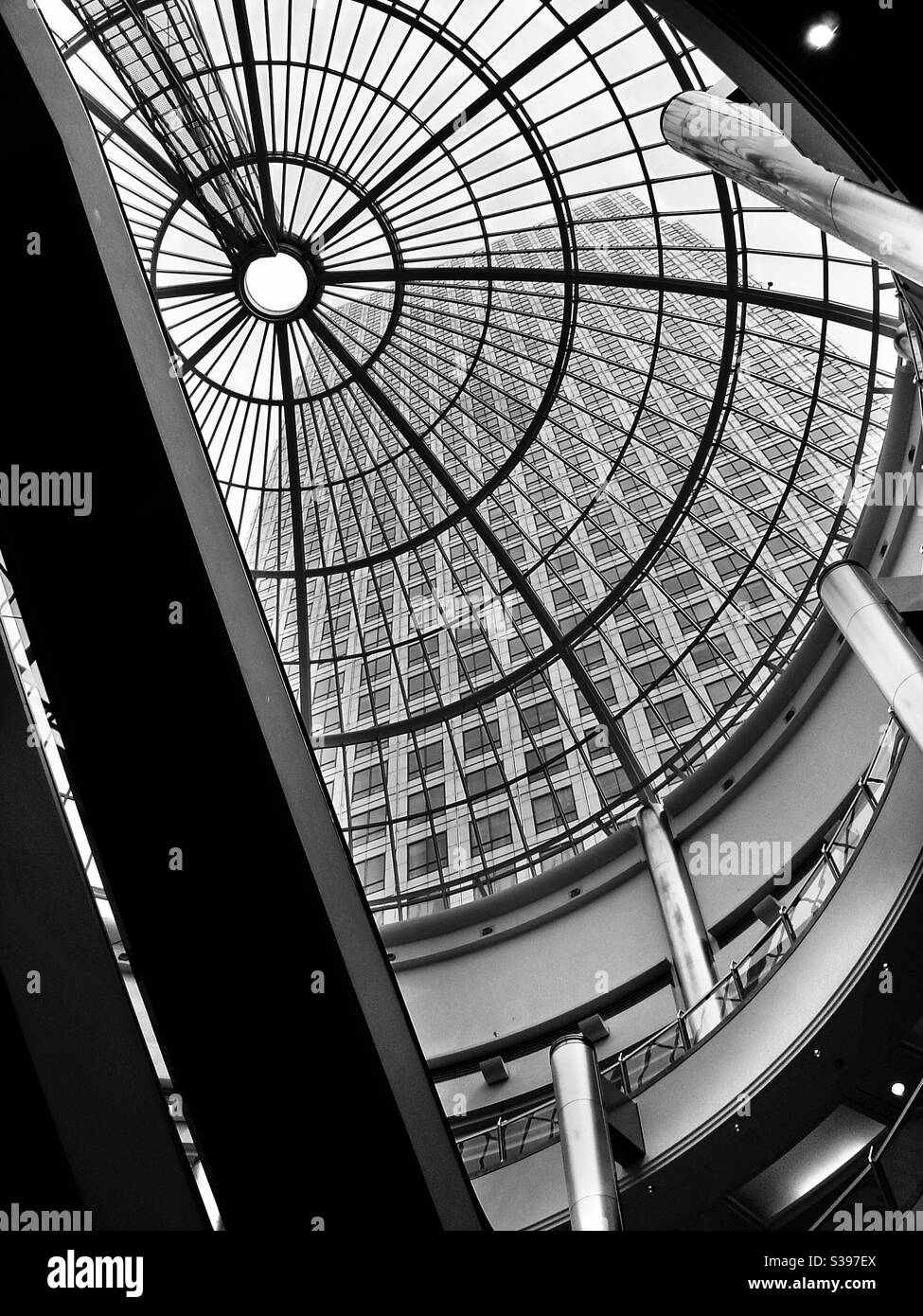 Black canary black and white smartphone stock photos - Alamy