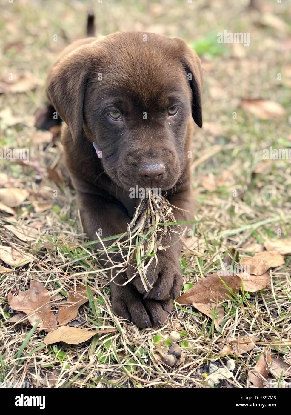 Outgoing family hi-res stock photography and images - Alamy