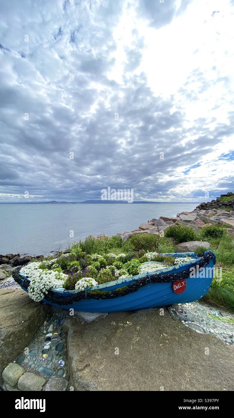 Boat filled with plants hi-res stock photography and images - Alamy