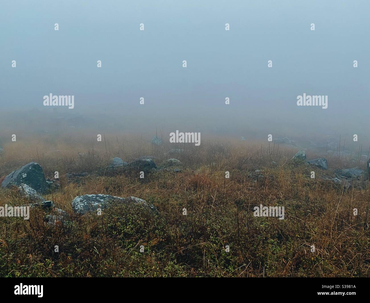 Pretty fog hi-res stock photography and images - Alamy
