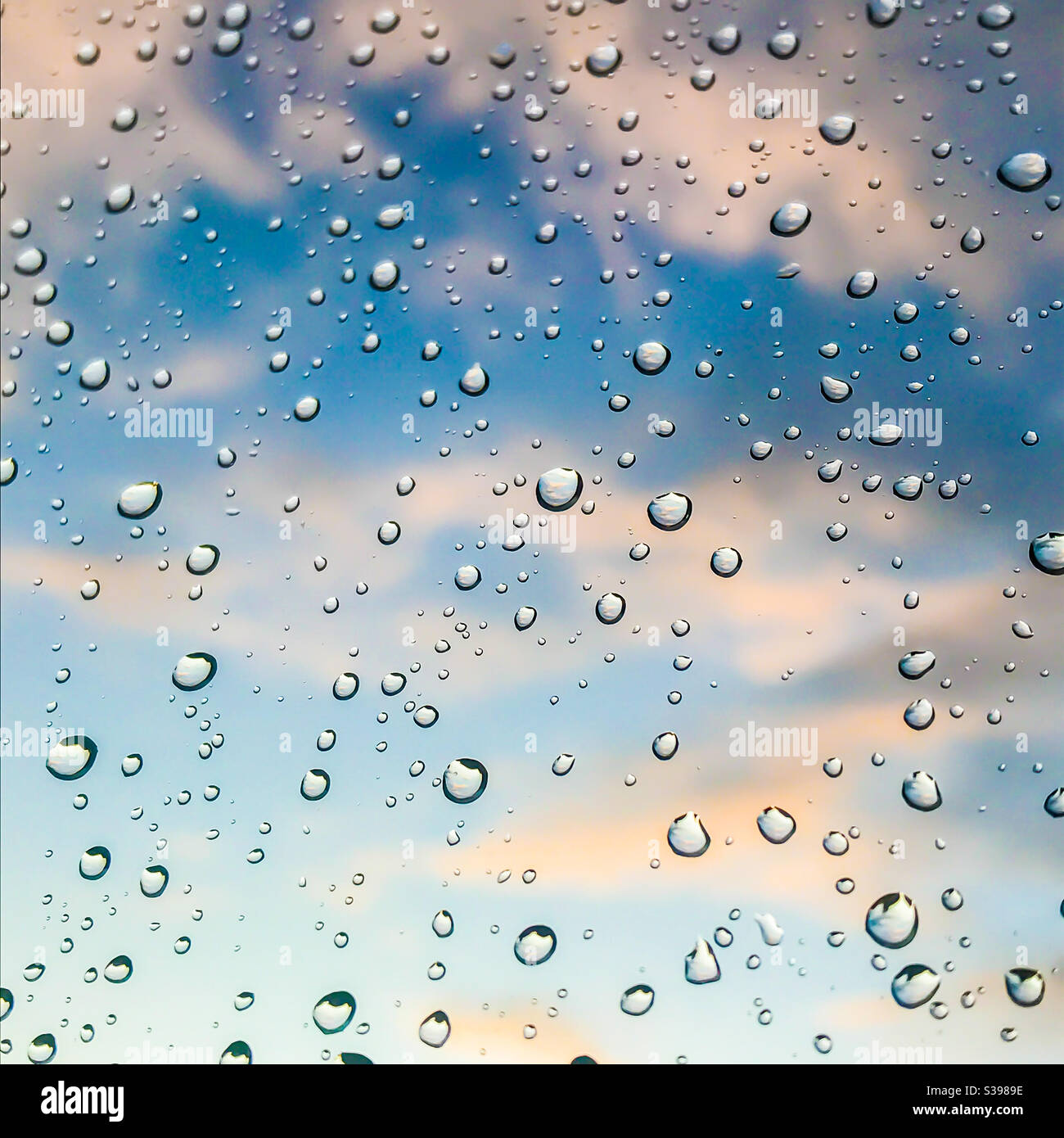 Water droplets on a window Stock Photo - Alamy