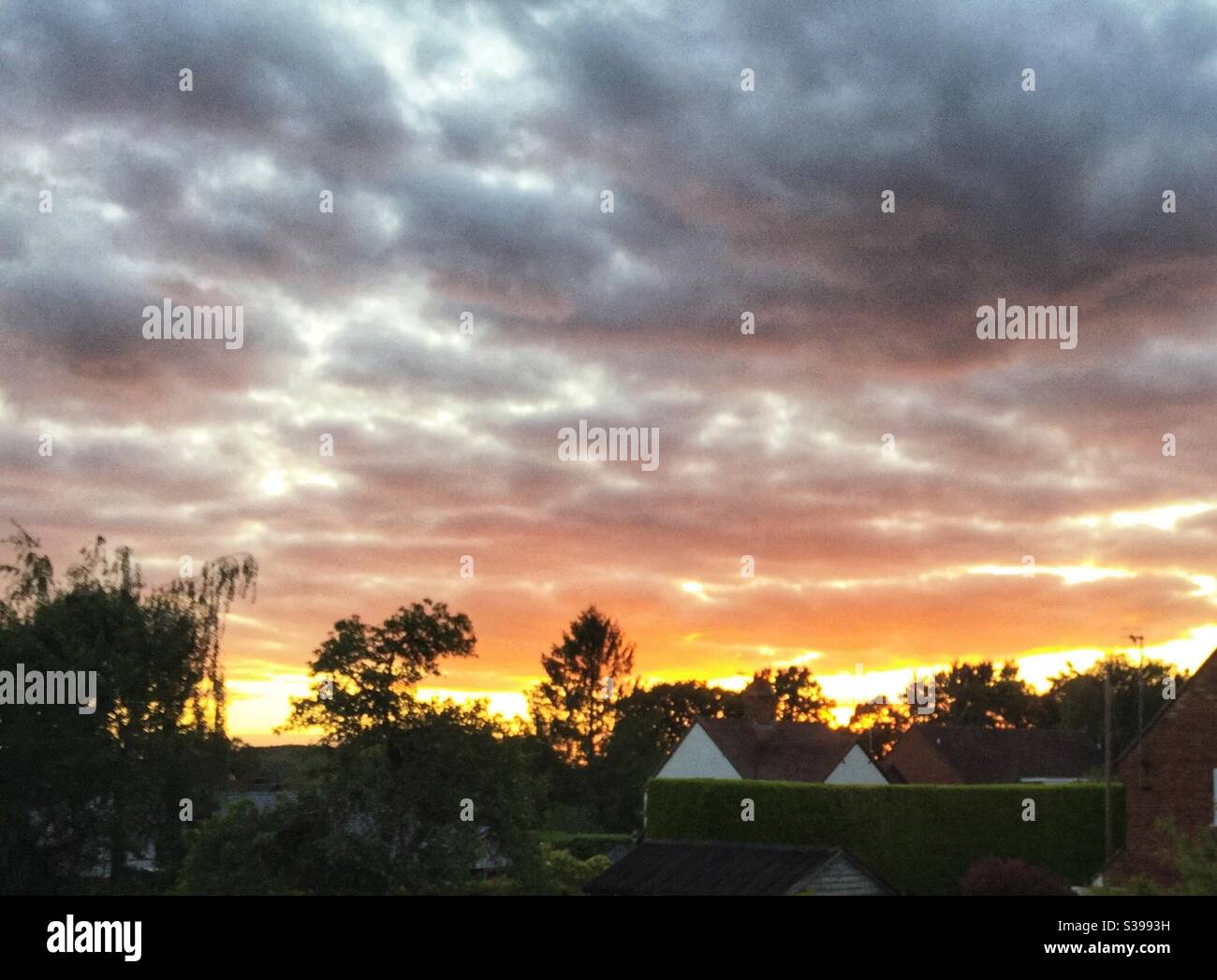 Surrey Hills Summer High Resolution Stock Photography and Images - Alamy