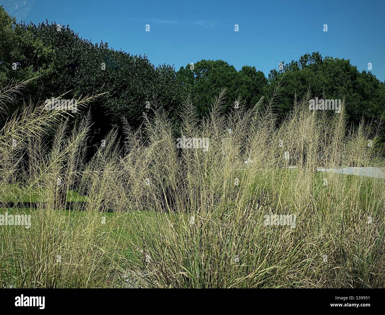 Scenery country hi-res stock photography and images - Alamy