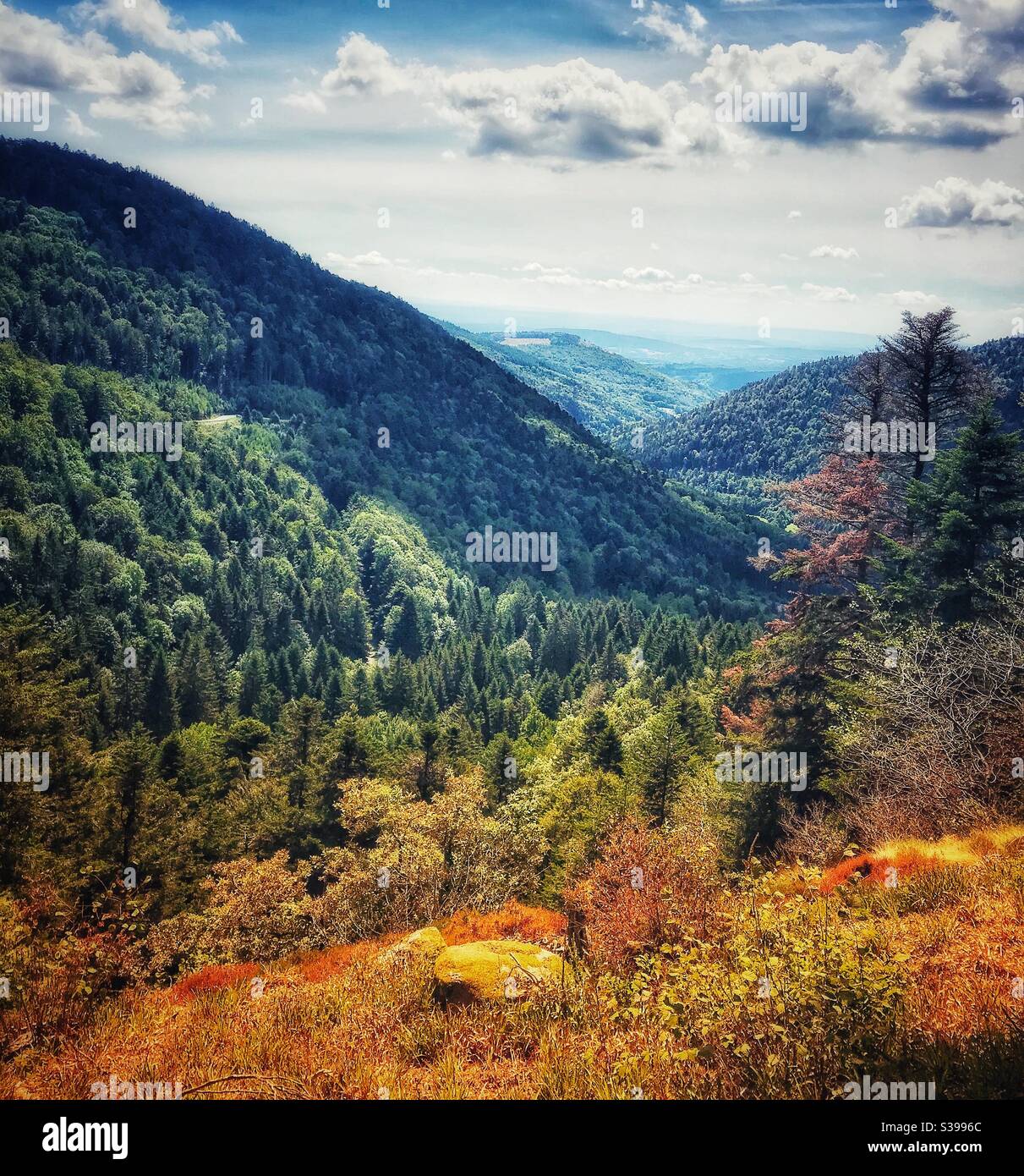 Automne france hi-res stock photography and images - Alamy