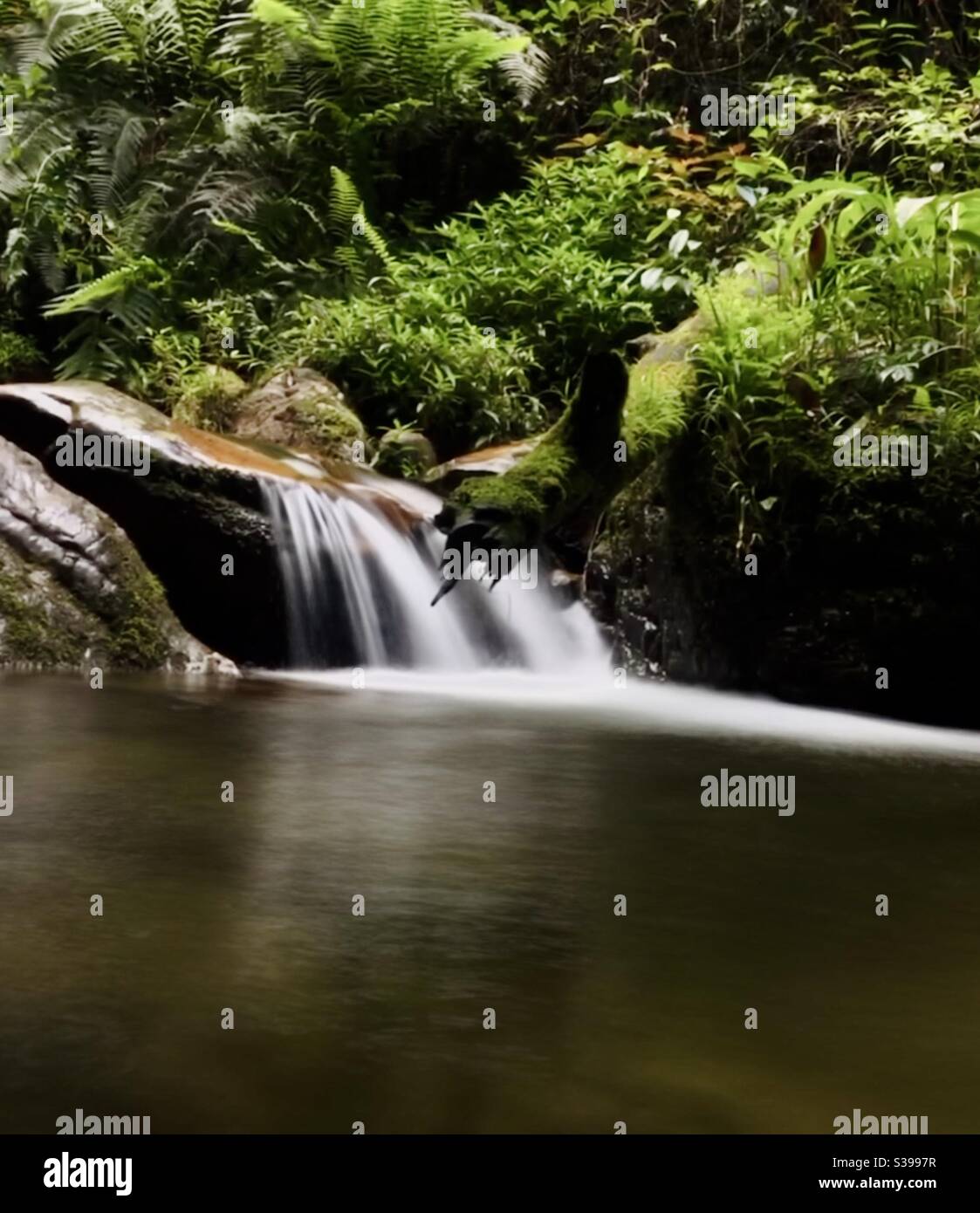 Silky smooth water fall hi-res stock photography and images - Alamy