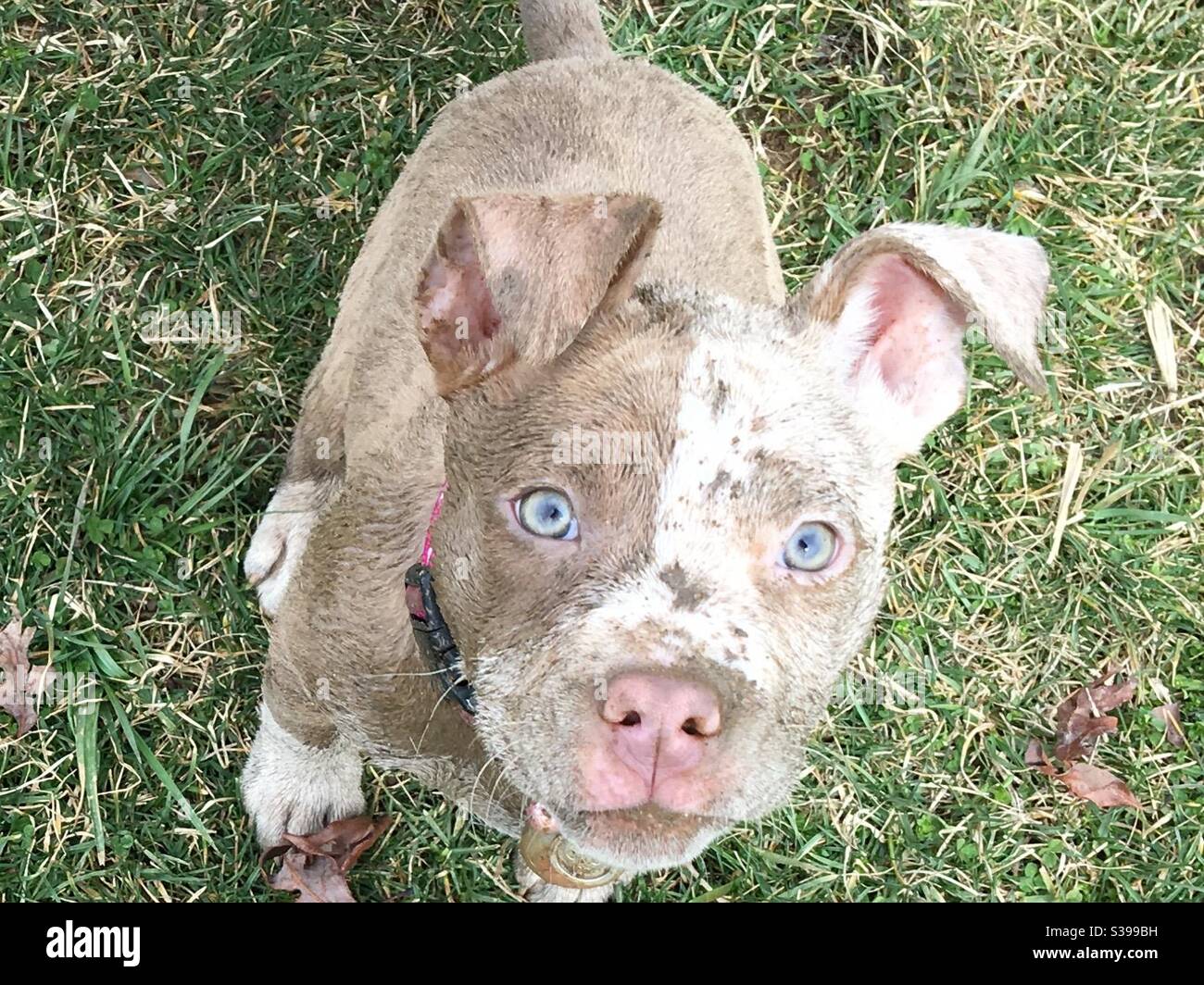 Muddy Girl High Resolution Stock Photography and Images - Alamy
