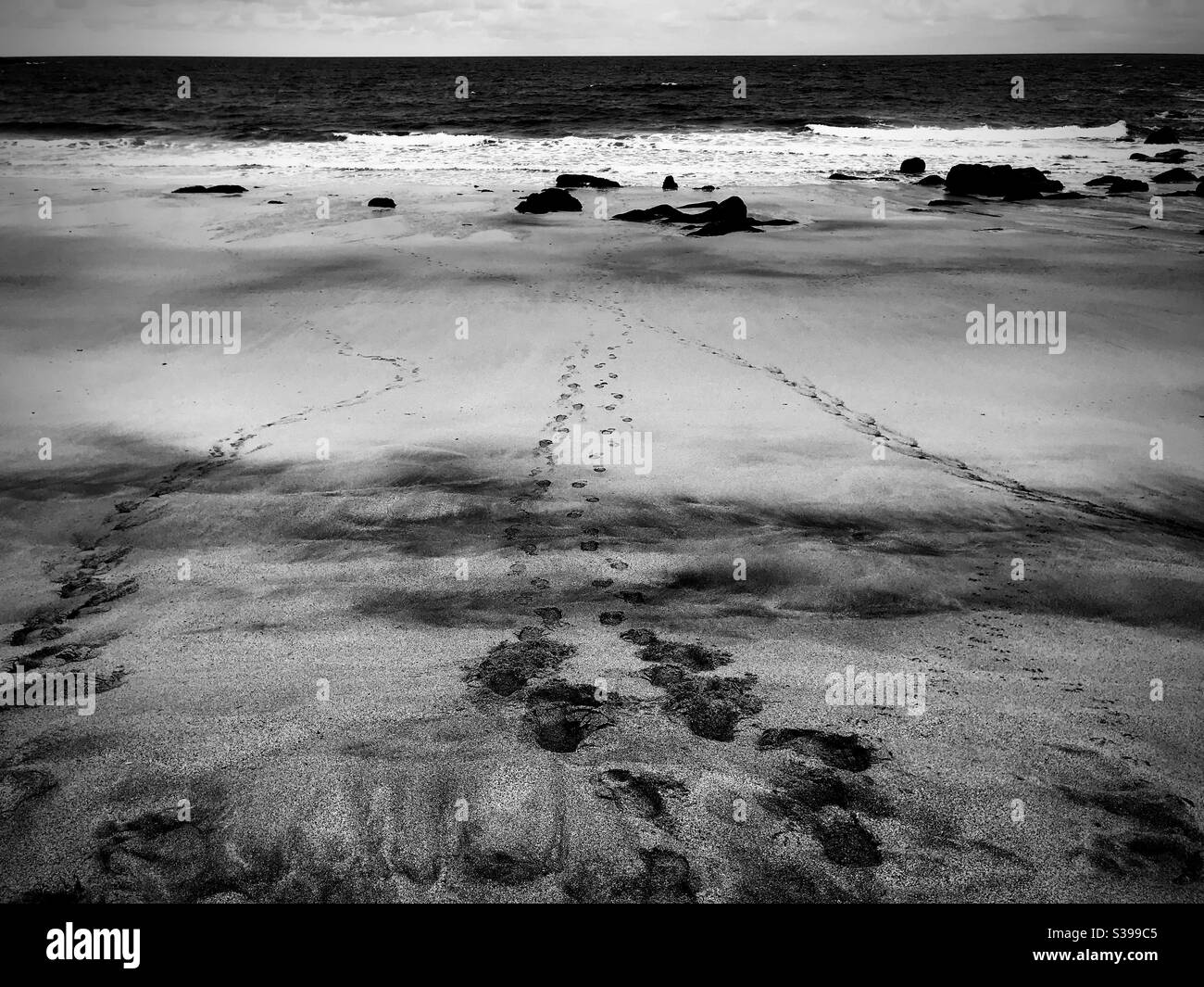 Footsteps deserted beach hi-res stock photography and images - Alamy