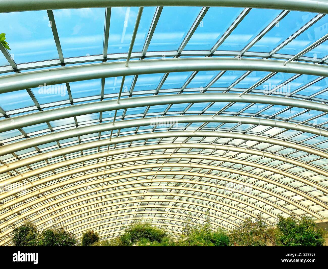Curved glass canopy hi-res stock photography and images - Alamy