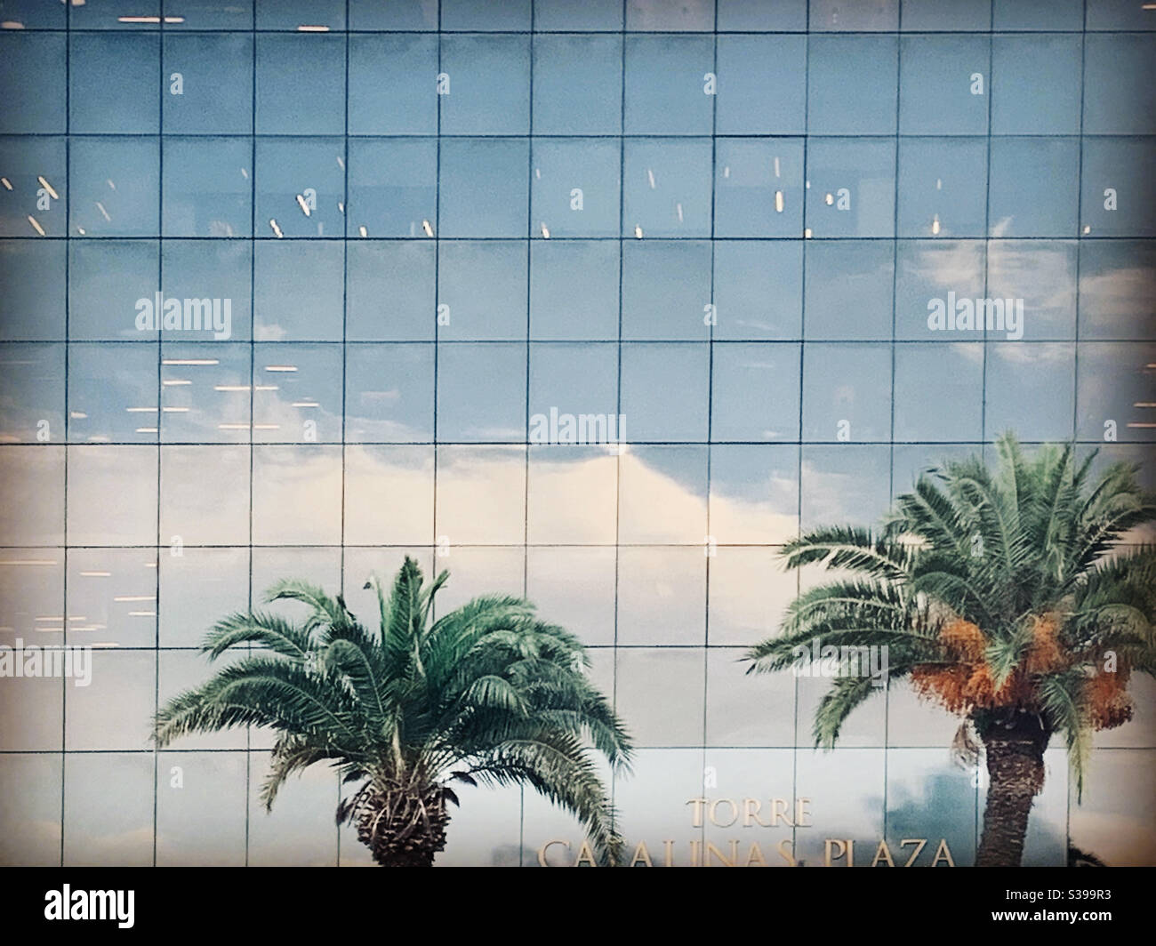 Urban trees hi-res stock photography and images - Alamy