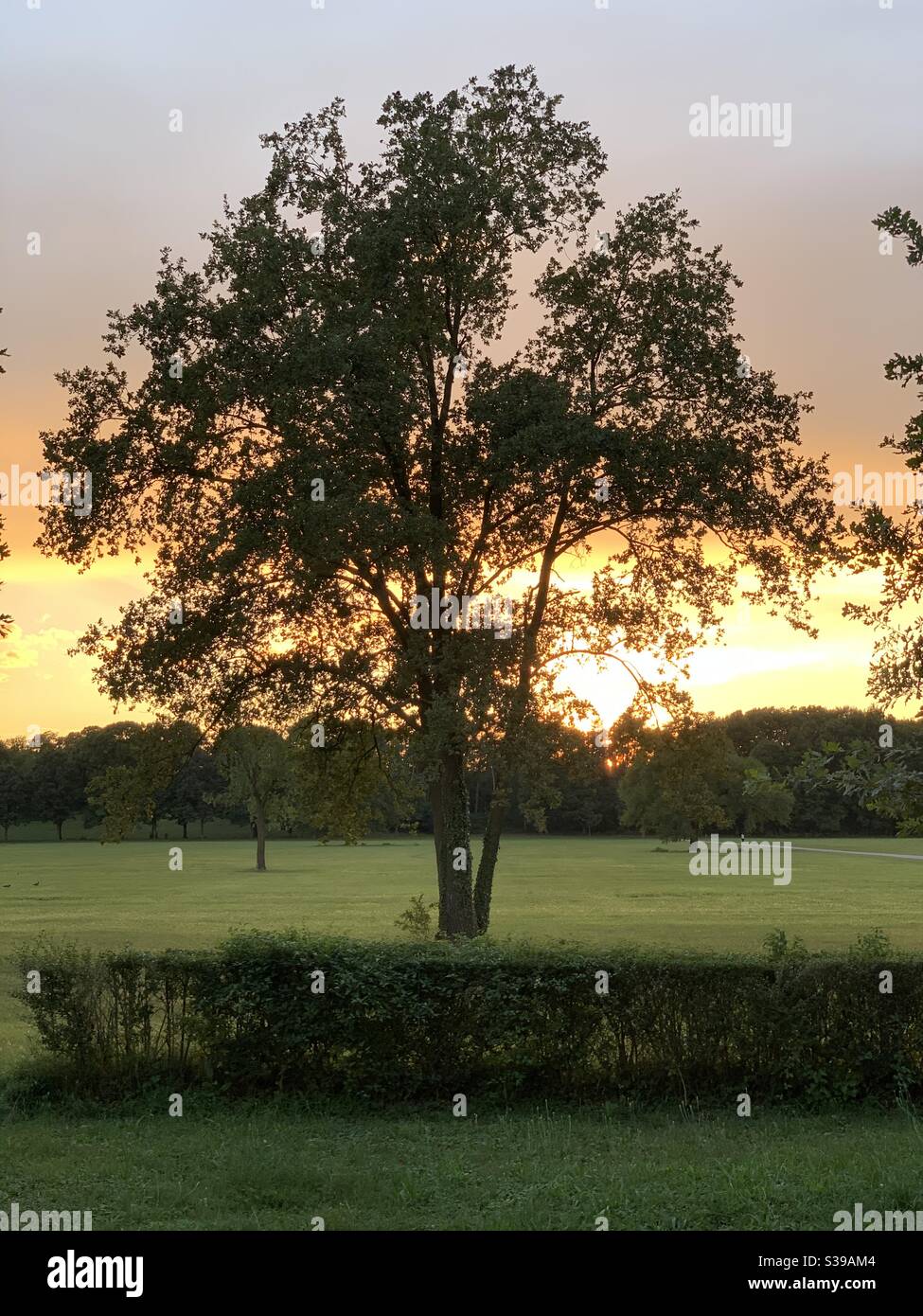 Sunset fire hi-res stock photography and images - Alamy