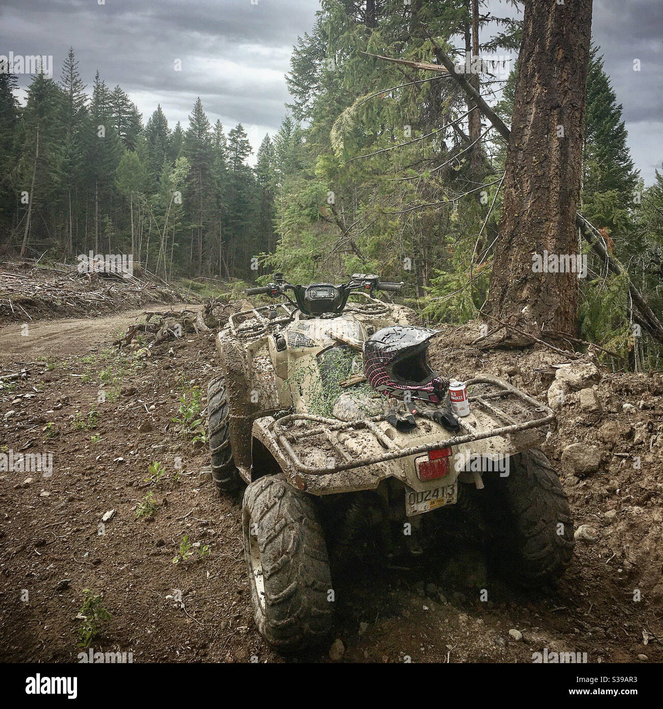 Quading High Resolution Stock Photography and Images - Alamy