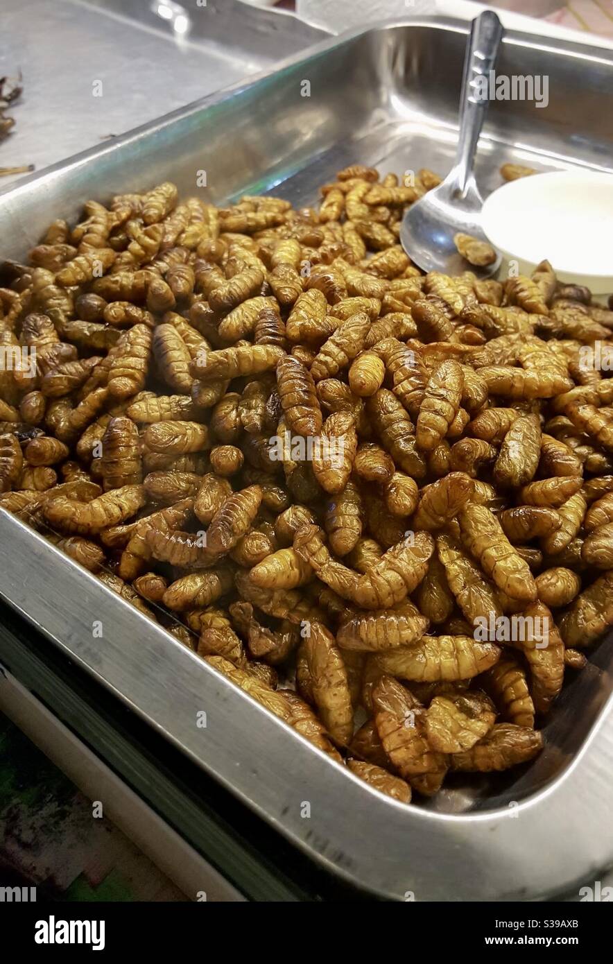 Deep fried bugs hi-res stock photography and images - Alamy