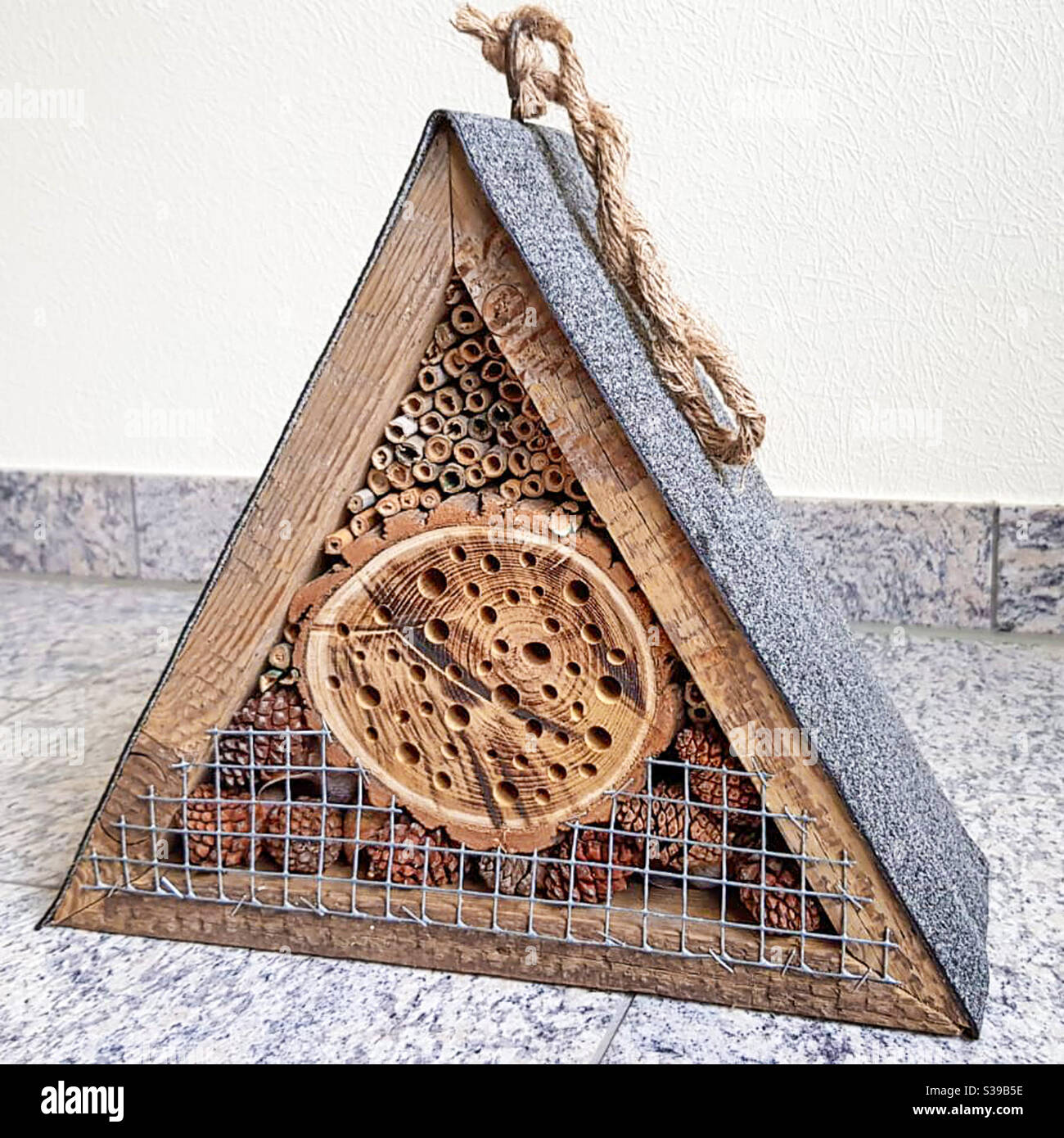 Insect hibernation habitat hi-res stock photography and images - Alamy