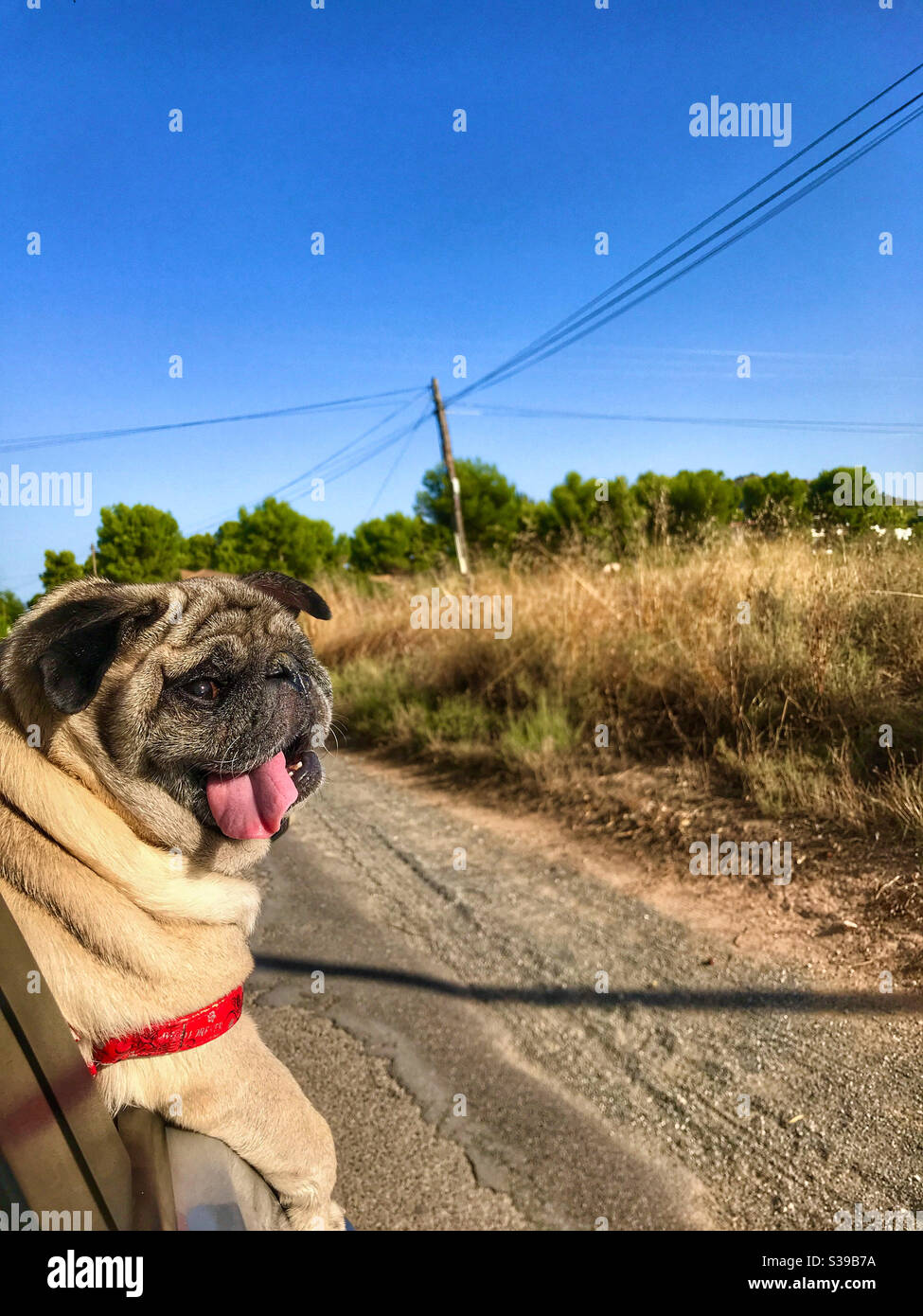 Fresh air catching hi-res stock photography and images - Alamy