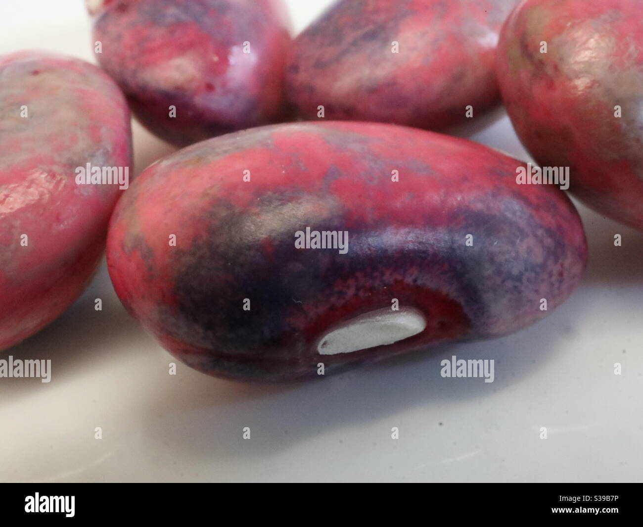 Home Grown Runner Beans Stock Photo - Alamy