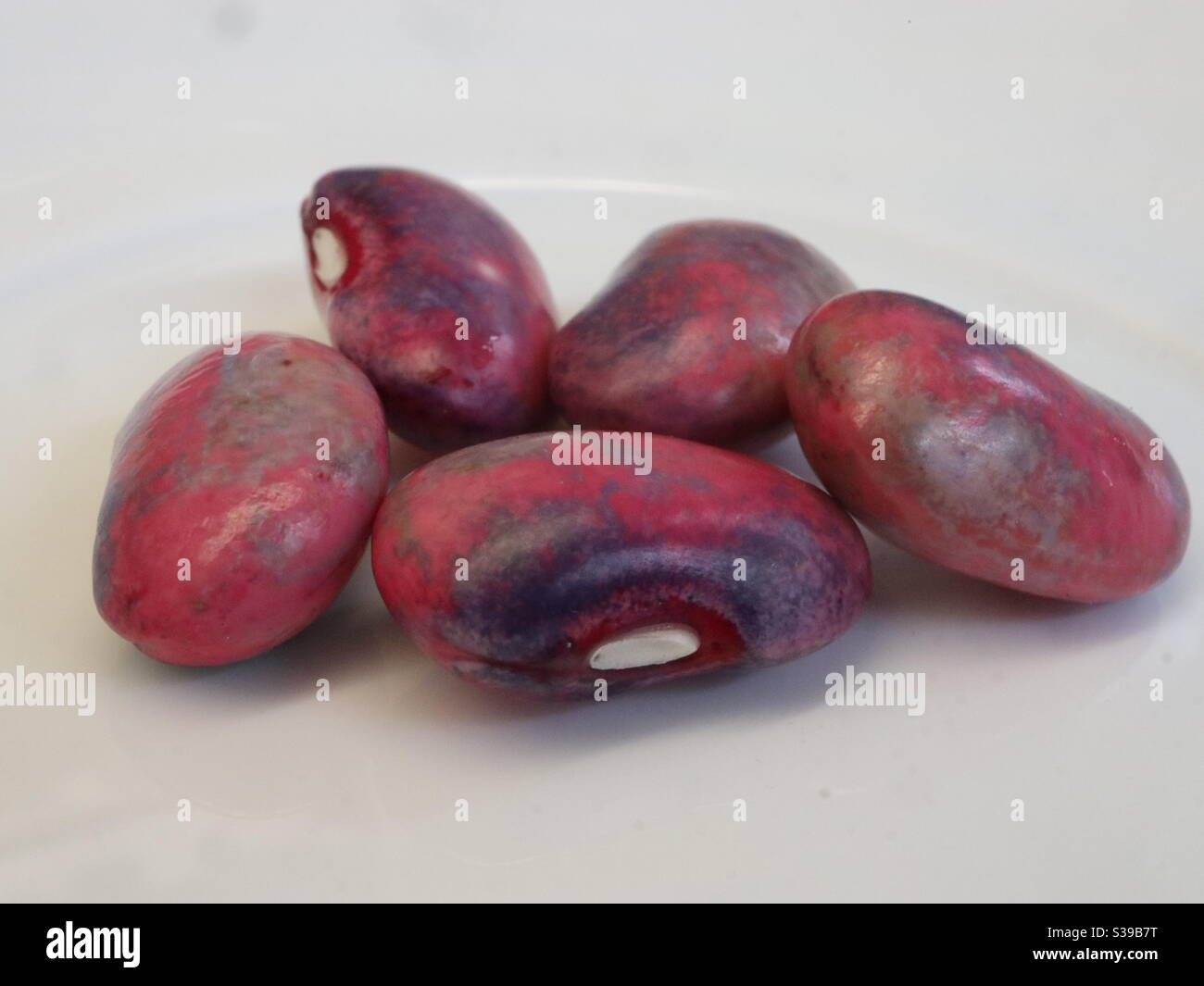 Beans r us hi-res stock photography and images - Alamy