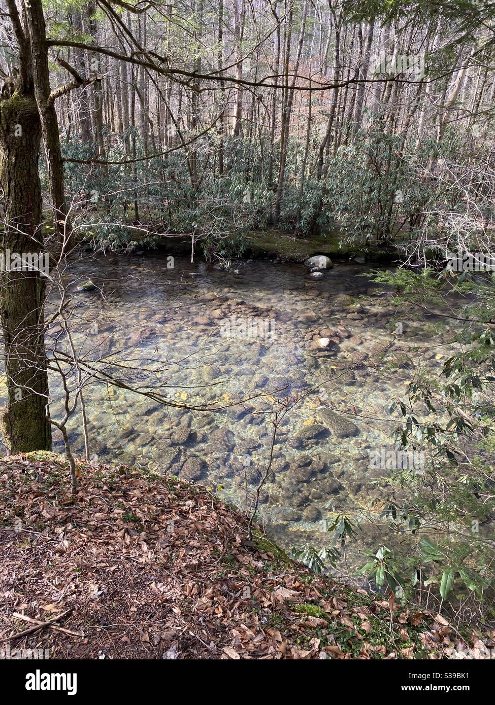 Tennessee winter hi-res stock photography and images - Alamy