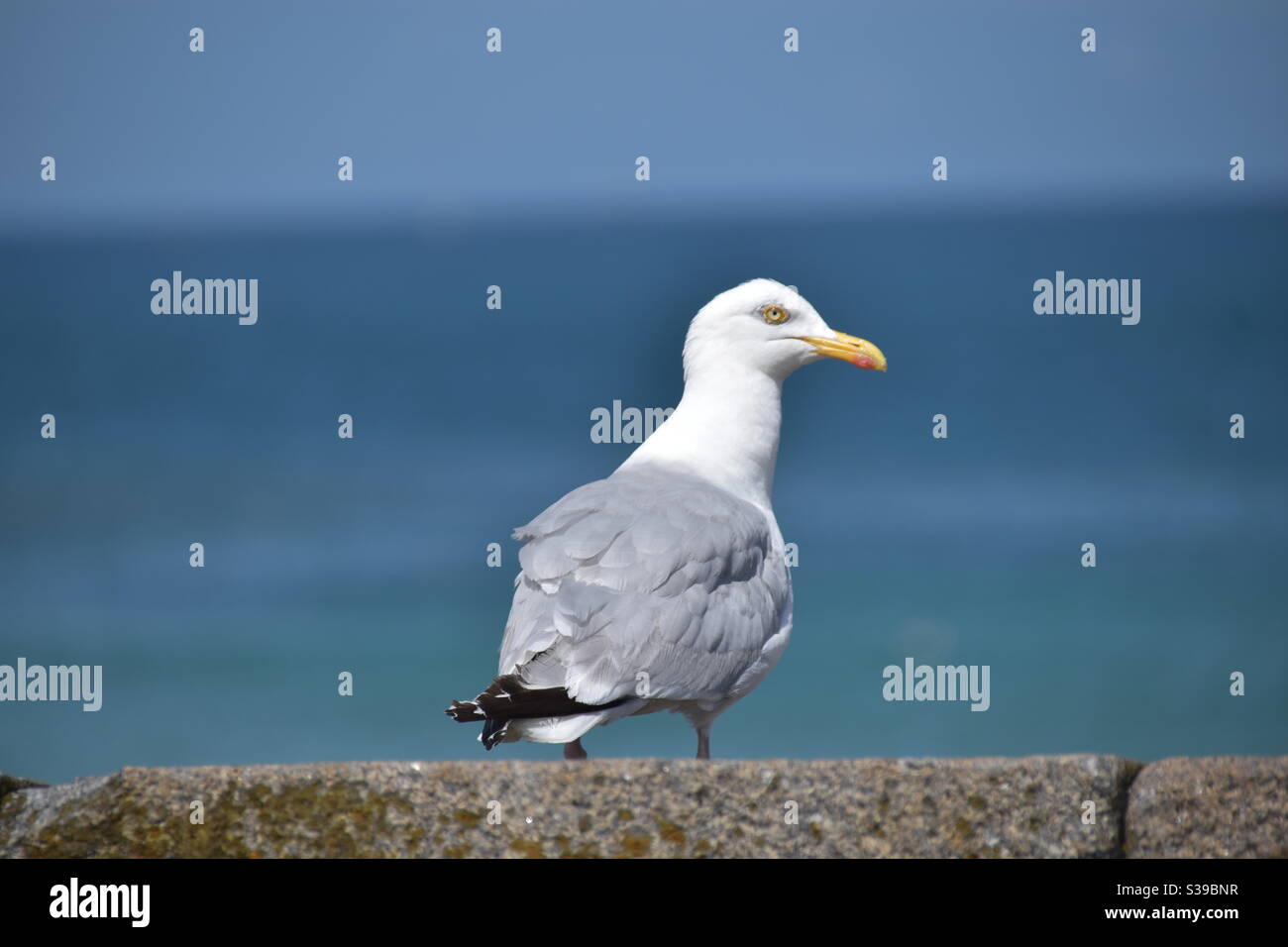 Symbol for good bye hi-res stock photography and images - Alamy