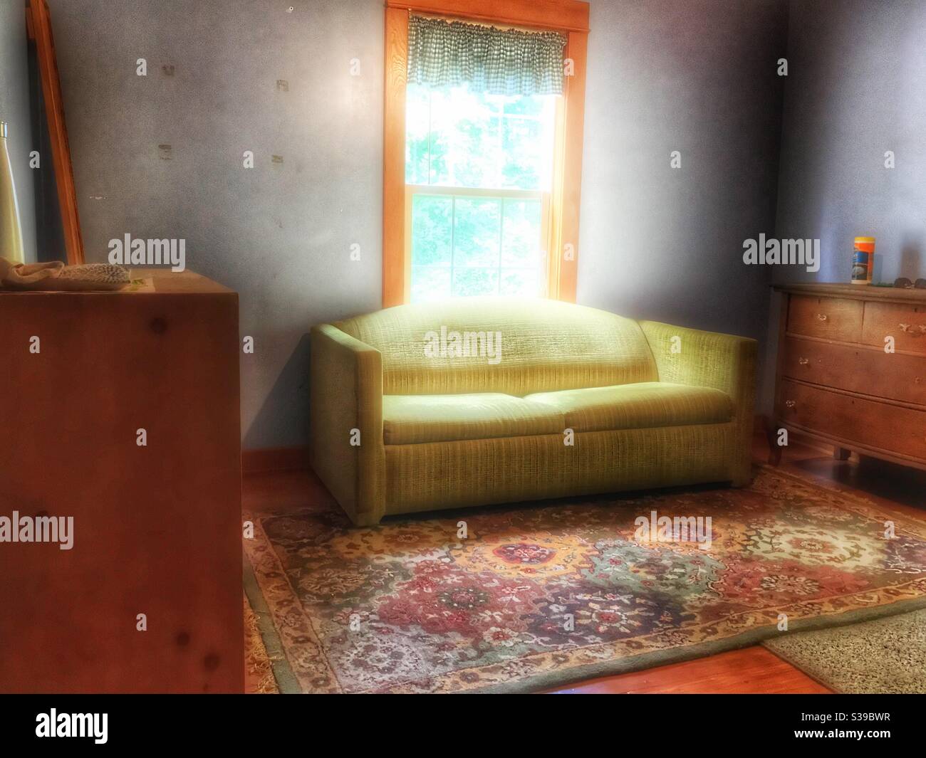 Empty nest hi-res stock photography and images - Alamy